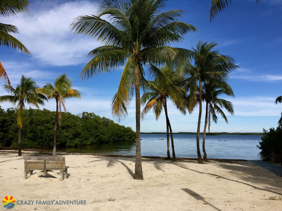 Top 11 Best Beaches In The Florida Keys [Map Included]