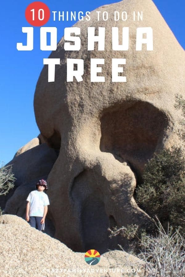 10 Best Things To Do In Joshua Tree National Park
