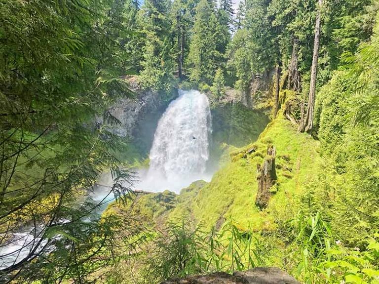 Mckenzie River Oregon: Epic 3 Day Itinerary