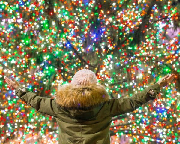 The 21 Best Places to See Christmas Lights in Wisconsin for 2023