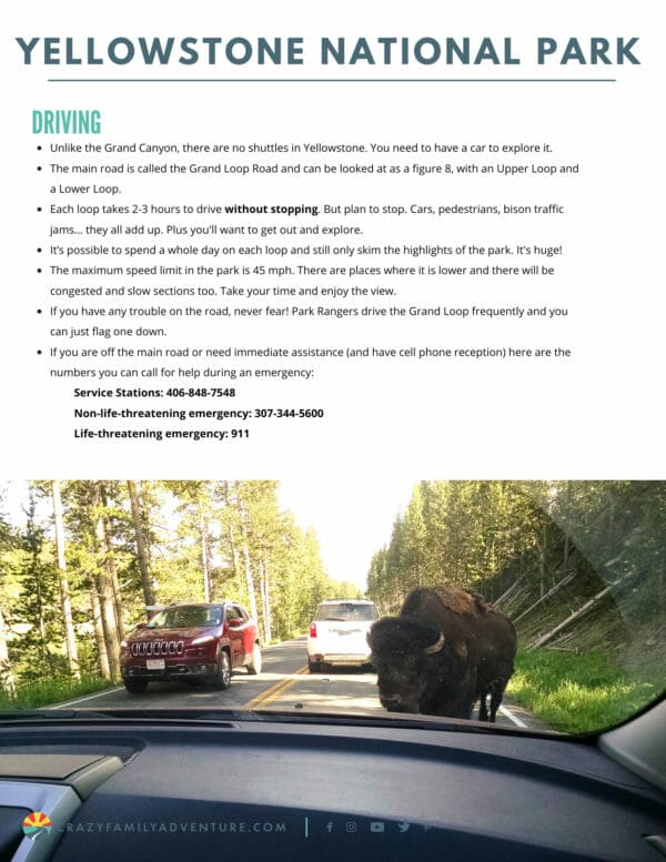 Yellowstone National Park Guides
