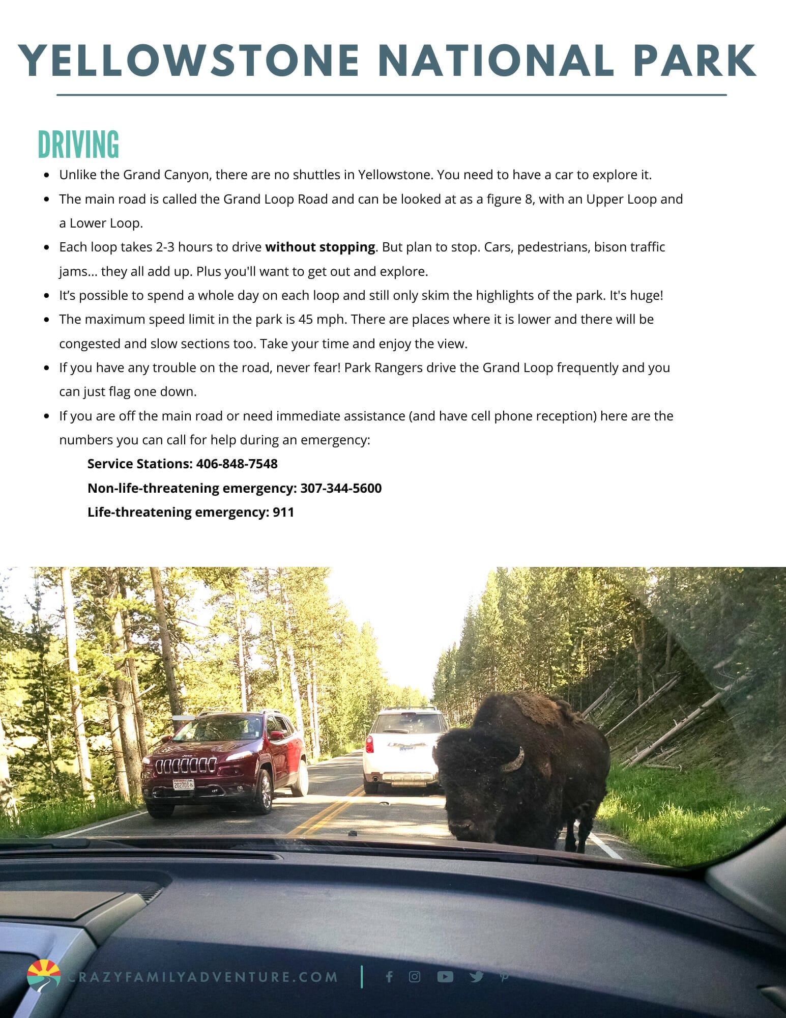 Yellowstone National Park Guides