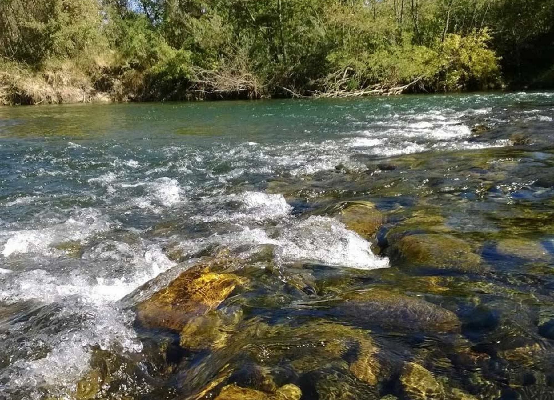 The Best RV Camping in Northern California