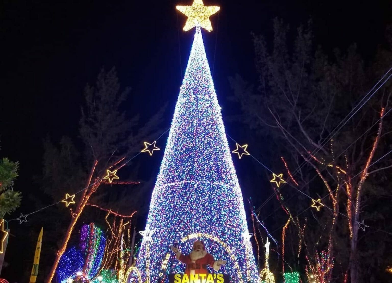 The ultimate Guide to Santa's Enchanted Forest