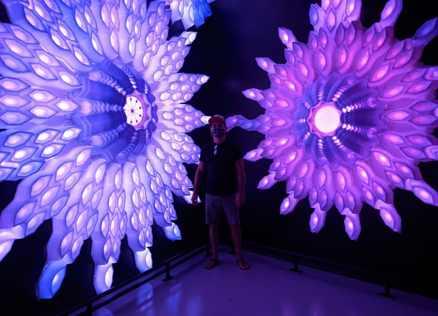 Meow Wolf Review: Which Meow Wolf Location is Best? Meow Wolf Review: Which Meow Wolf Location is Best?