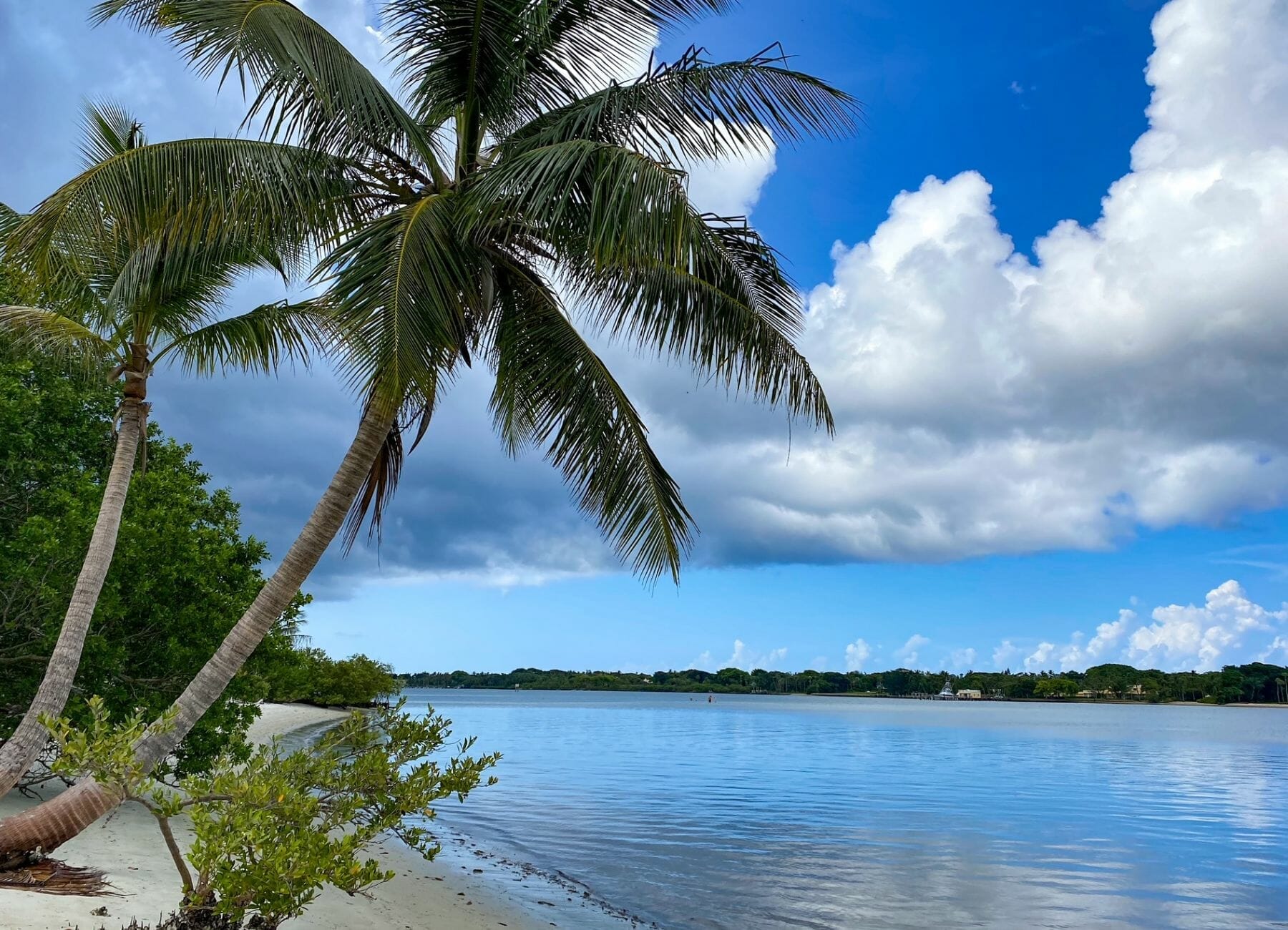 8 Best Things to do in Jupiter Florida