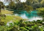 6 Best Springs In Florida