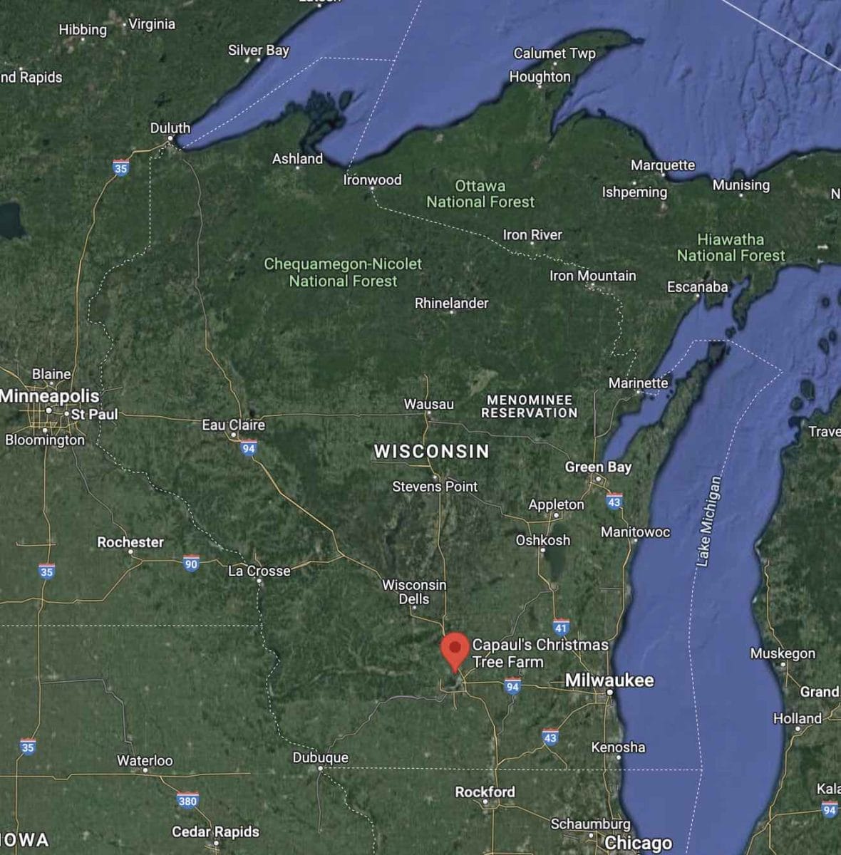 15 Christmas Tree Farms in Wisconsin Where You Can Cut Your Own Tree ...