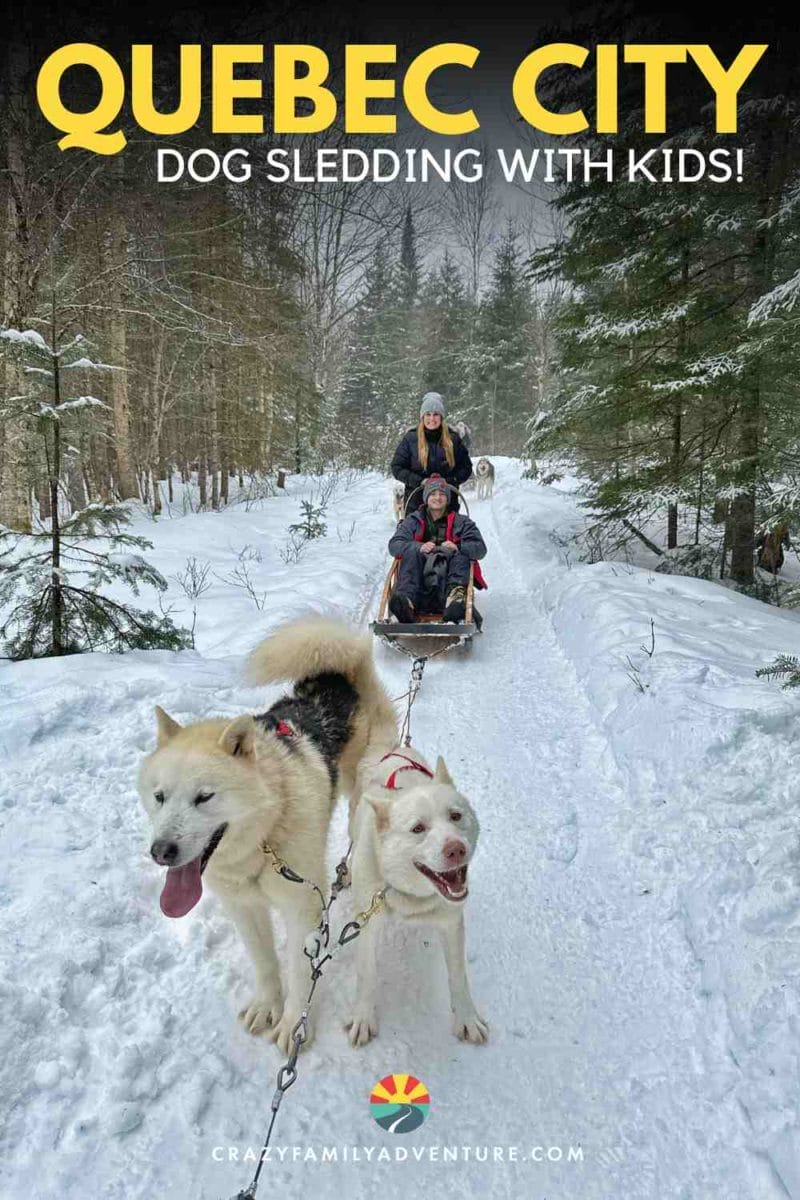 Dog Sledding in Quebec City